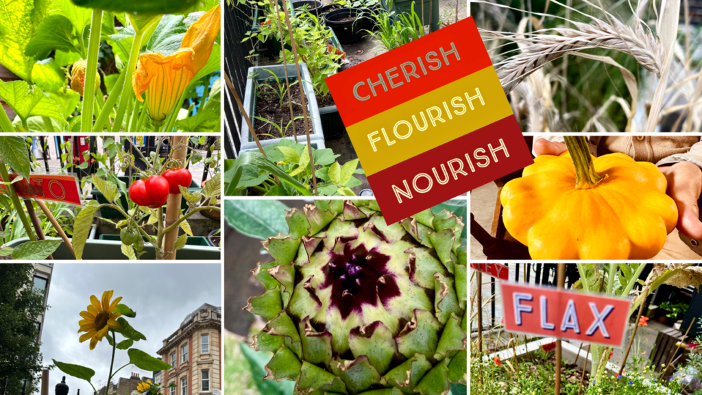 About Earth Justice - SJP