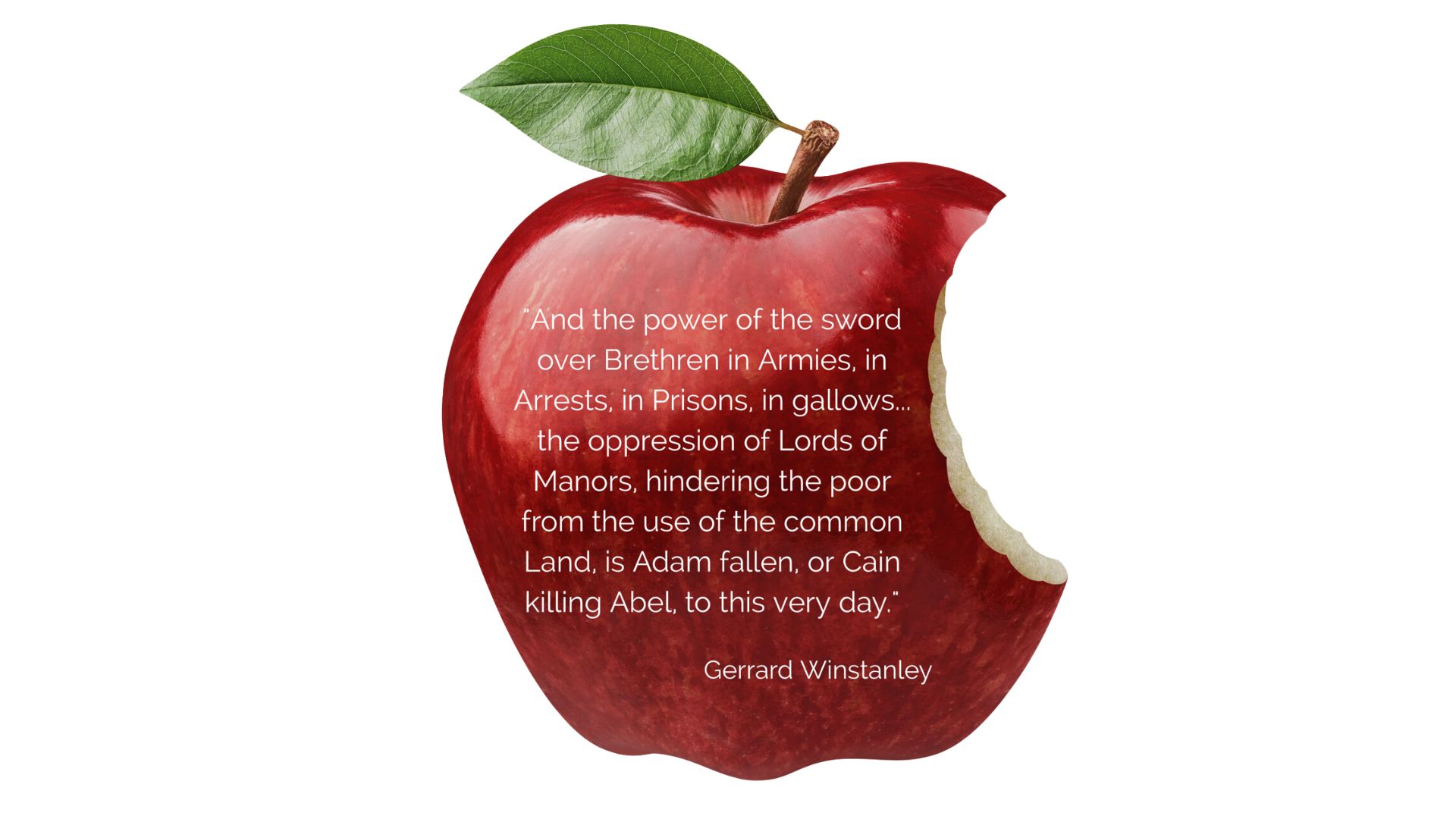 Genesis: a text for revolution? - SJP