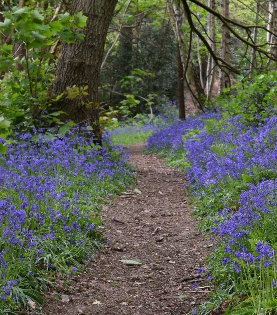 Parish Retreat - St James's Church Piccadilly