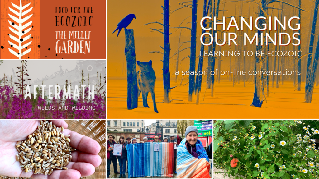 About Earth Justice - St James's Church Piccadilly